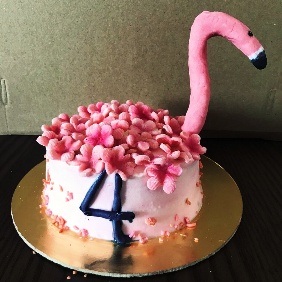 Customised Dog Cake Designs | Barker's Dozen Pet Bakery