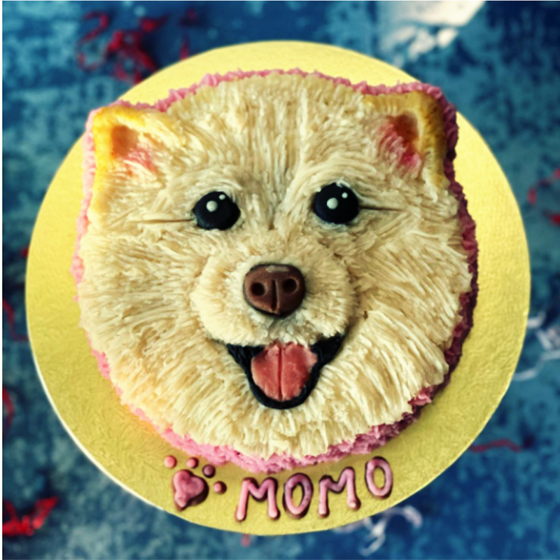 Customised Dog Cake Designs | Barker's Dozen Pet Bakery