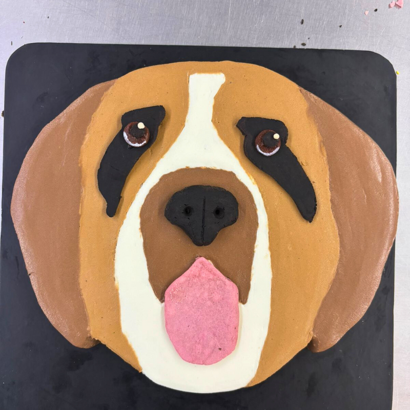 Customised Dog Cake Designs | Barker's Dozen Pet Bakery