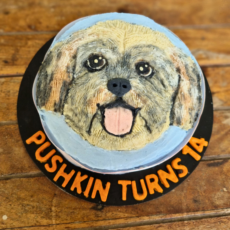Customised Dog Cake Designs | Barker's Dozen Pet Bakery