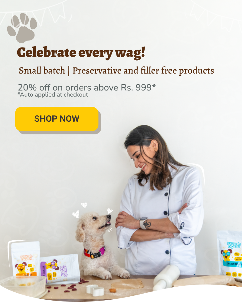 Artisanal Bakery for Dogs - Premium Cakes, Treats and Chews